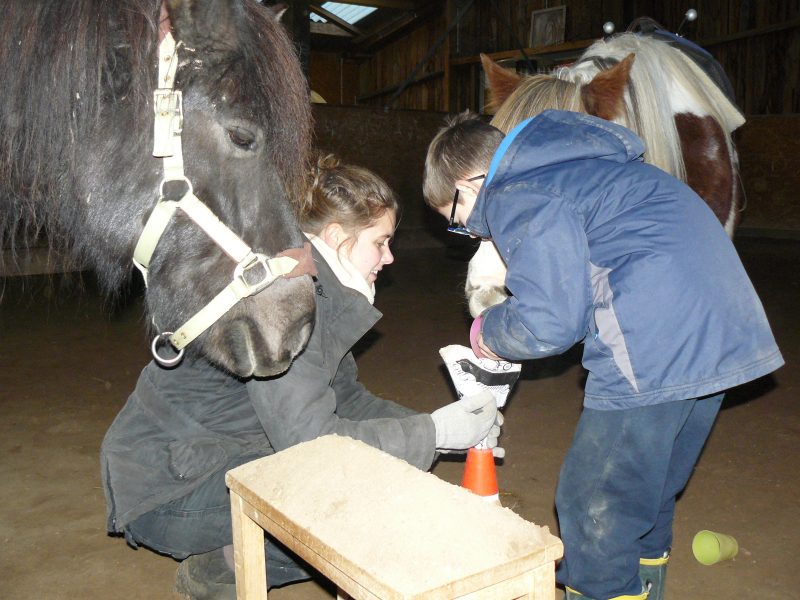 l'equitherapie est l'activité centrale cu centre équestre du Morvan "A ...