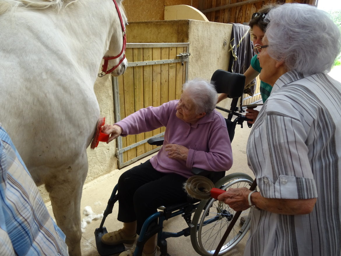 Thérapie Avec le Cheval - A Cheval sur Soi
