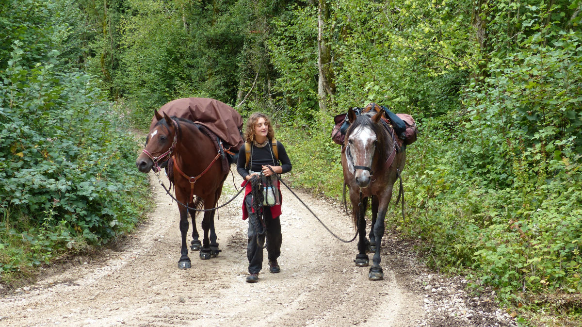 Spectacle de chevaux en liberté Jeudi 3 Mai à 9h30. - A Cheval sur Soi